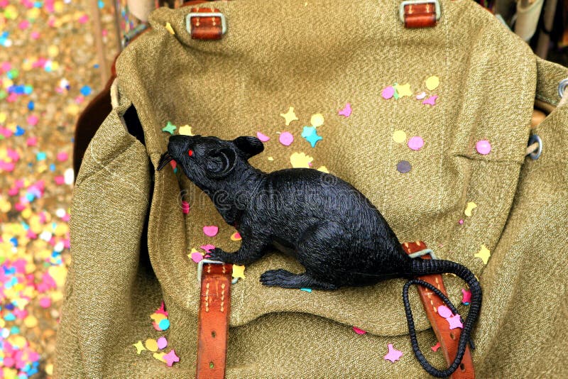 Plastic Rat Decorates a Backpack. Black Rat. Backpack with Rats. Stock ...
