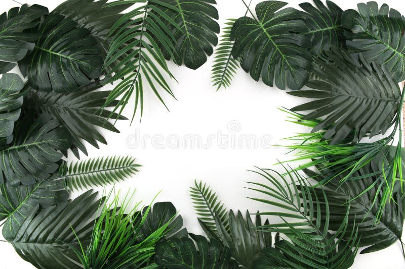 Frame of Artificial Tropical Leaves Isolated on White Background. Stock ...