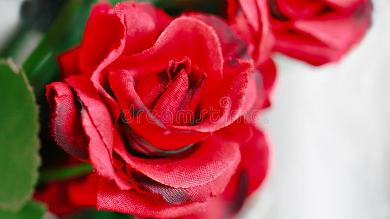 Plastic Rose stock photo. Image of fake, plastic, flower - 64856962