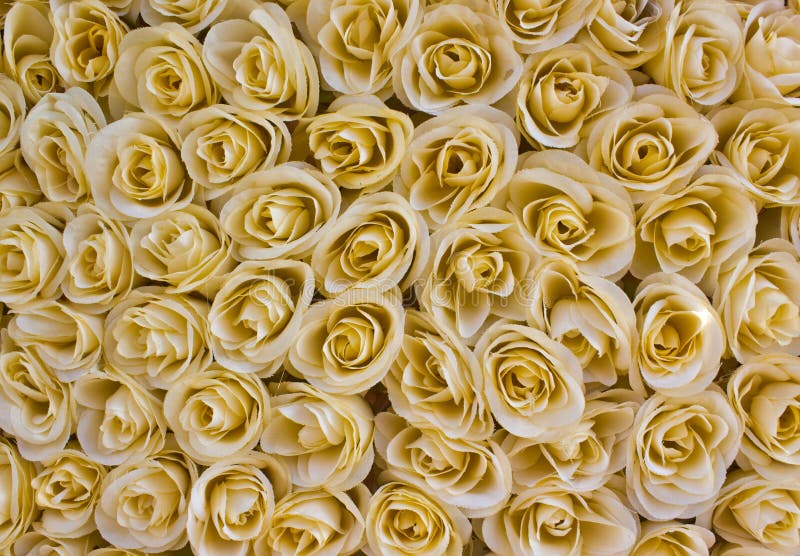 Plastic rose flowers. stock photo. Image of pollution - 28458008