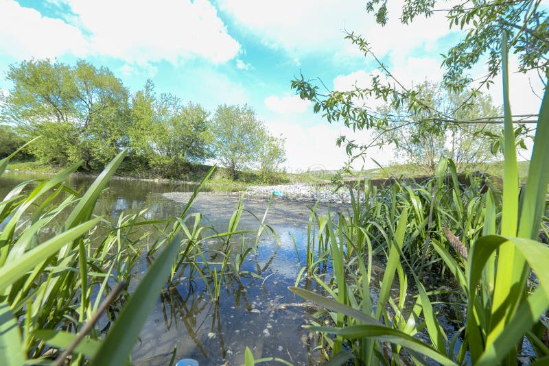 Plastic Rubbish in the Seret River, Stock Image - Image of nature, pile ...