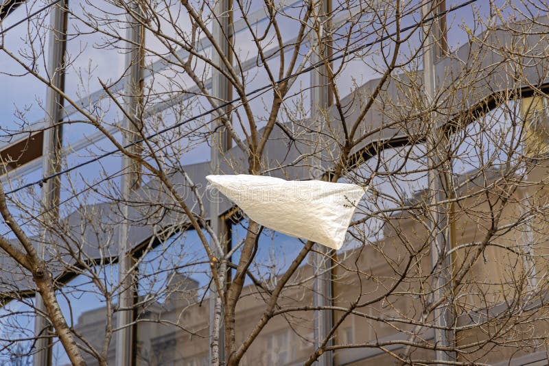 Plastic Sack Tree stock image. Image of litter, flying - 242103957