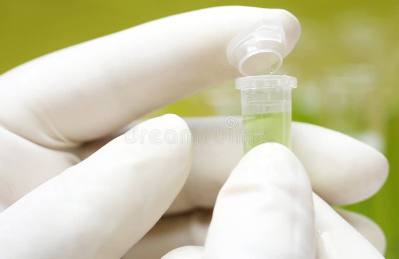 Plastic sample tube stock photo. Image of laboratory - 77420428