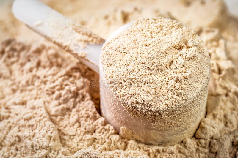 Plastic Scoop Full of Protein Powder Stock Image - Image of milkshake ...