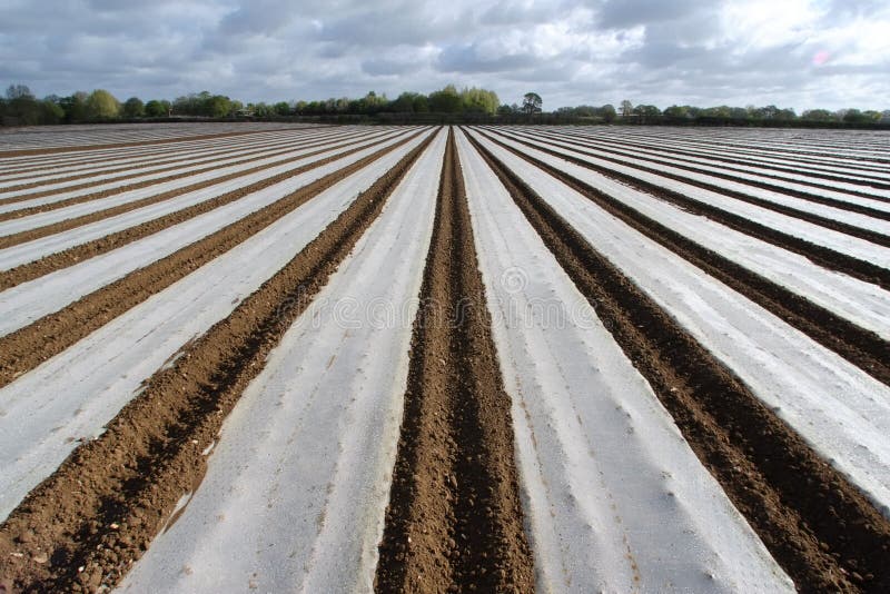 Plastic field editorial stock image. Image of plastic - 119921229