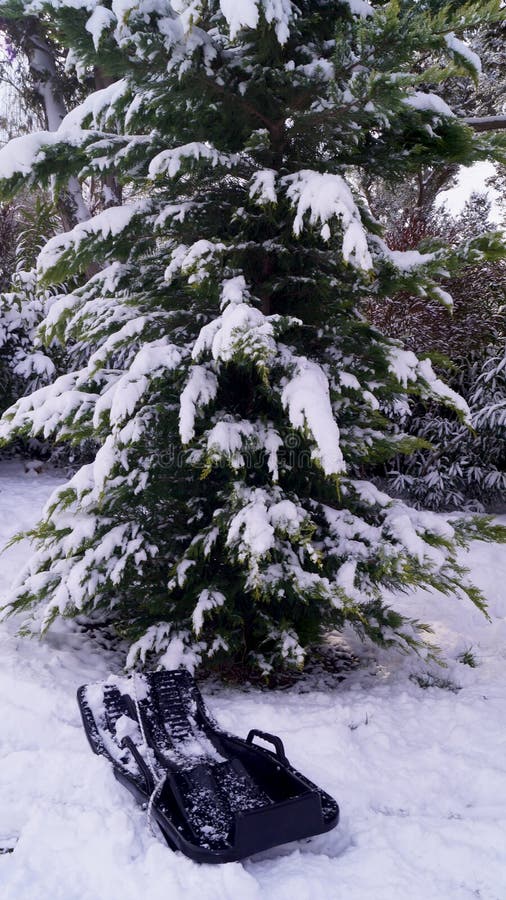 Plastic sled on the snow stock photo. Image of wintertime - 363486176