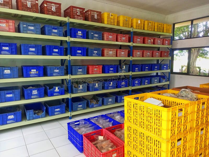 Storage plastic stock photo. Image of empty, blank, template - 267804848