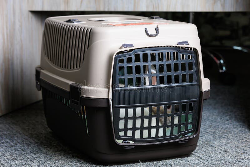 Plastic Suitcase for Carrying and Transporting Pets. Background with ...