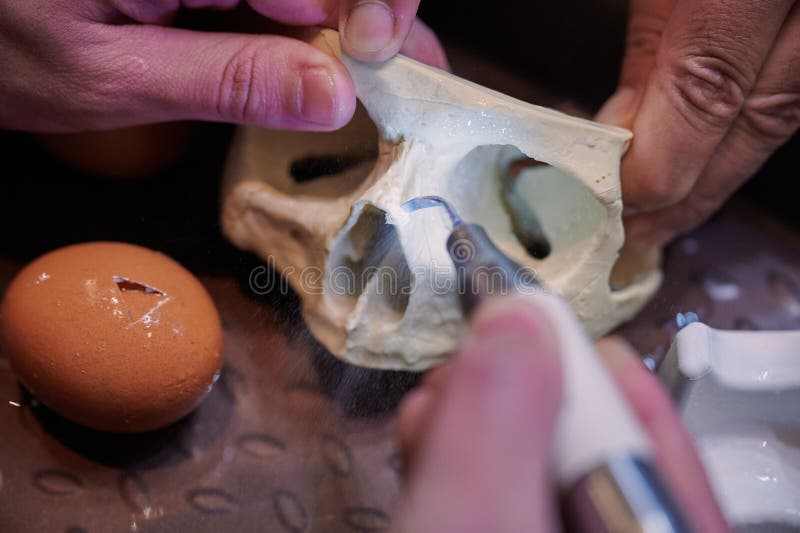 Work with a Piezo Instrument in the Educational Process of Bone ...