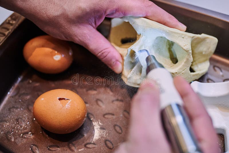 Work with a Piezo Instrument in the Educational Process of Bone ...