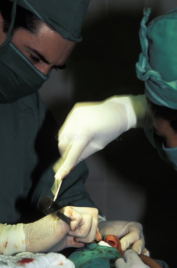 Plastic Surgery on the Nose. Editorial Stock Photo - Image of gloves ...
