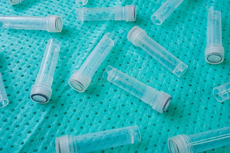 Plastic Test Tubes with Caps for the Collection of Samples. Sampling ...