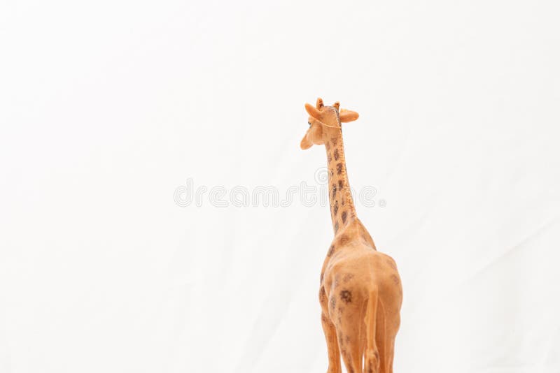 Plastic Toy Giraffe on White Background Stock Photo - Image of abstract ...