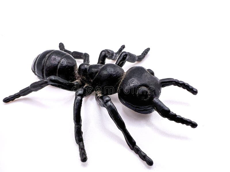Plastic Toy Insect - Black Ant on the White Background Stock Photo ...
