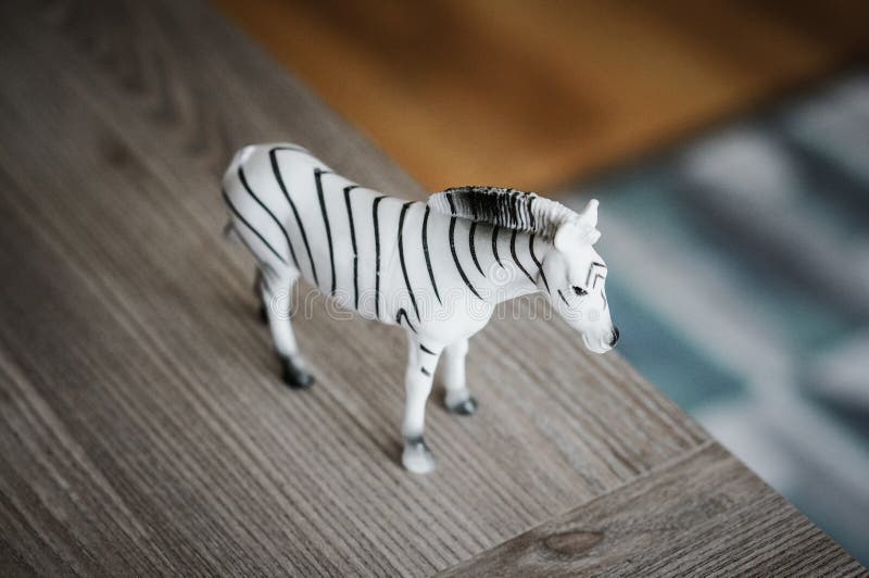 Plastic toy zebra stock photo. Image of safari, miniature - 85572372
