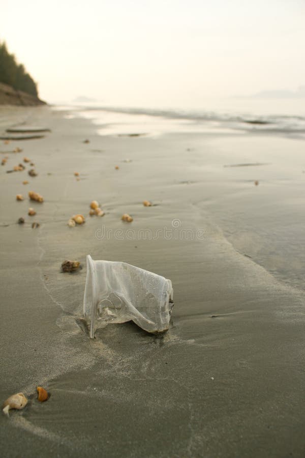 Plastic Trash On Beach Picture. Image: 24149401