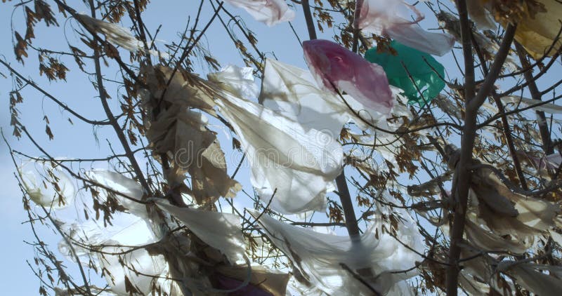 Plastic Trash on the Branches of Trees. Plastic Pollution of the Planet ...