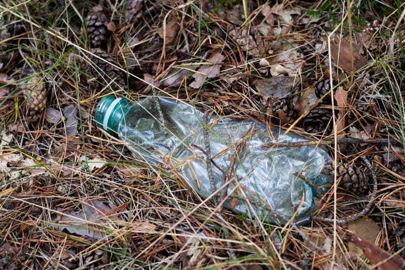 Plastic Trash in the Forest. Tucked Nature. Plastic Container Lying in ...