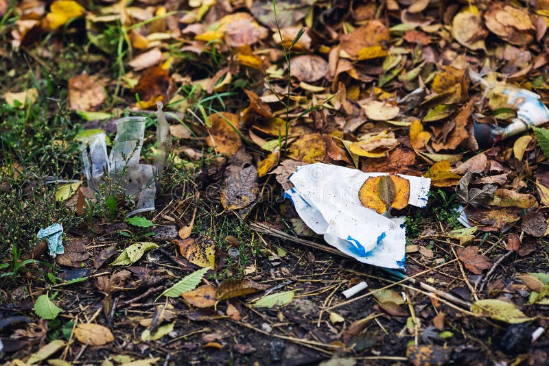 Leaves Trash In Litter Bin At Park For Garbage Truck Stock Image ...
