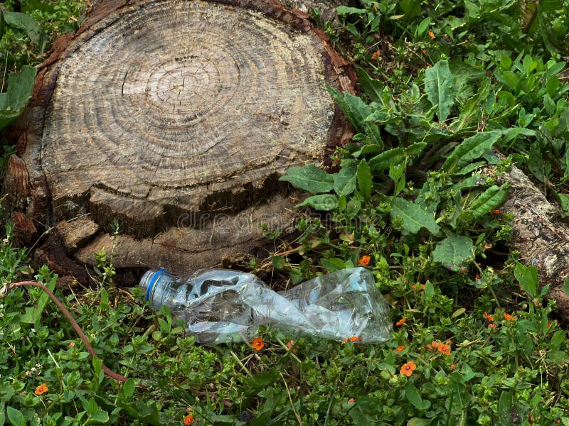 Plastic Trash Near a Stump in the Woods Stock Photo - Image of moss ...