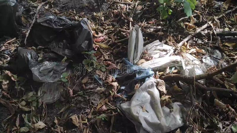 Plastic Trash Thrown Out in the Forest in Nature. the Problem of ...