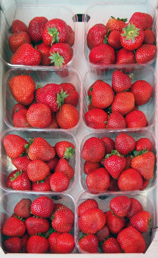 Plastic Trays of Fresh Strawberries in a White Box on Display for Sale ...