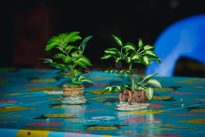Plastic Tree in Vase Placed on the Table Stock Photo - Image of house ...