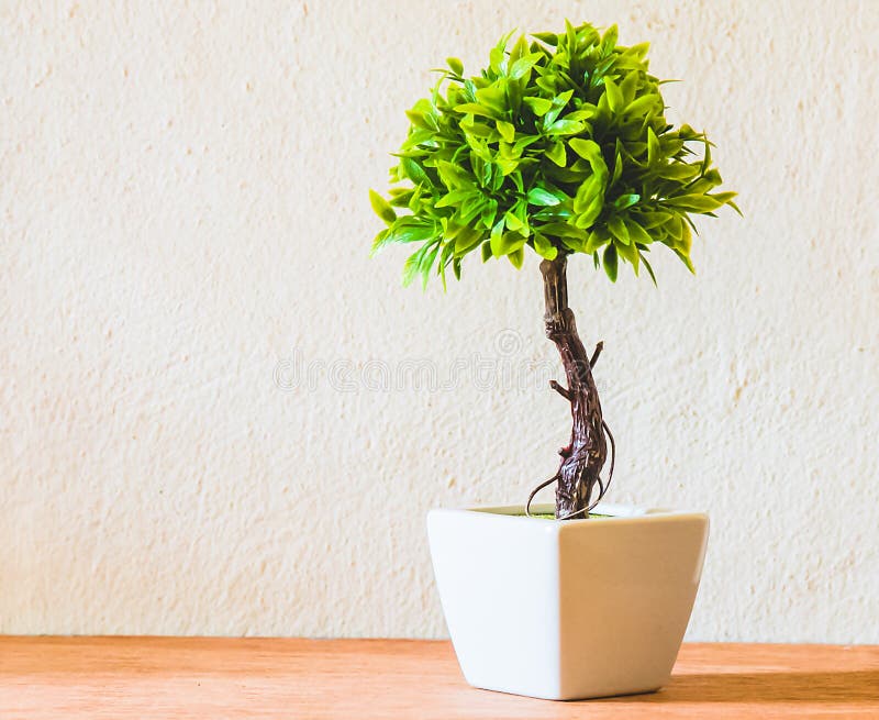 Plastic Trees stock image. Image of vacation, wall, pots - 54514583