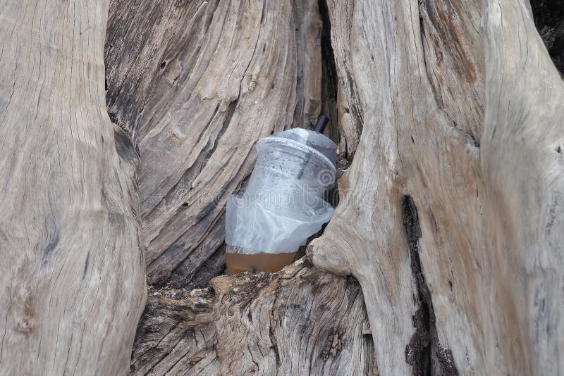 Plastic Tumbler or Plastic Waste Placed in a Tree is an Environmental ...