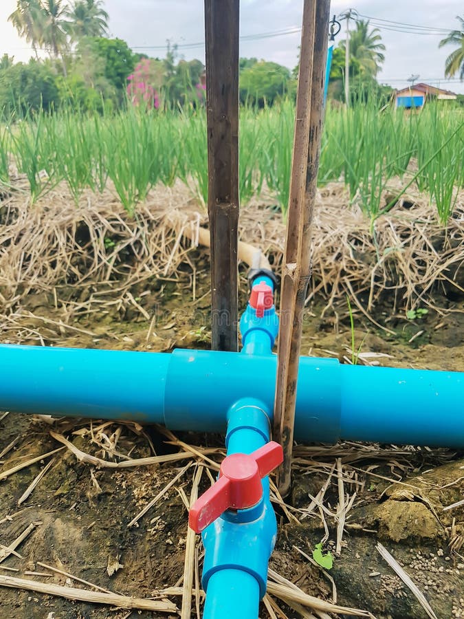 Plastic Valve for Control the Water Flow Stock Image - Image of ...