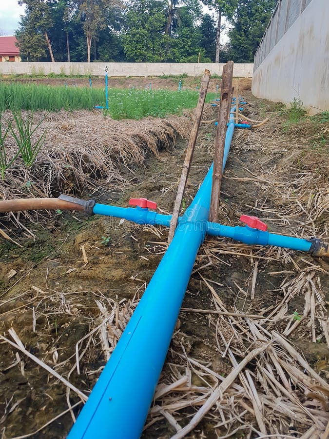 Plastic Valve for Control the Water Flow Stock Photo - Image of ...