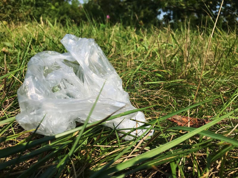 Grass in garbage bag stock image. Image of pollution - 32810633