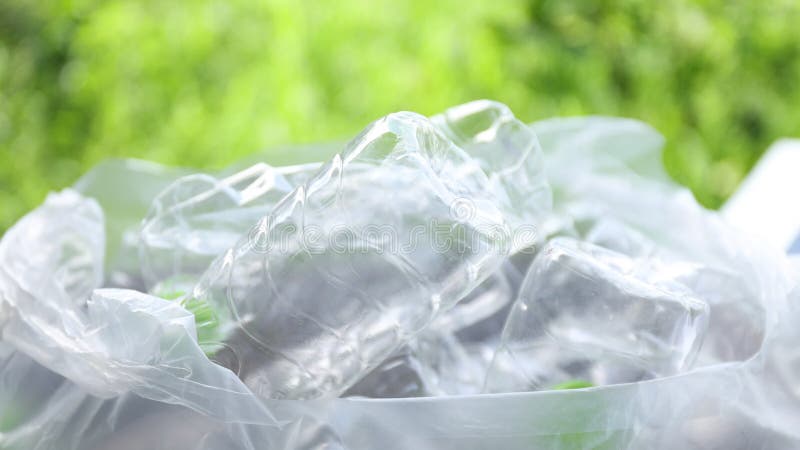 Plastic Waste Disrupting a Tropical Palm Grove Stock Footage - Video of ...