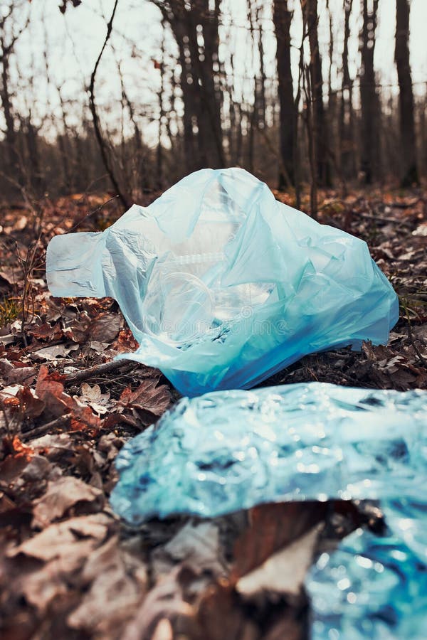 Plastic Waste Left in Forest Stock Image - Image of earth, picking ...