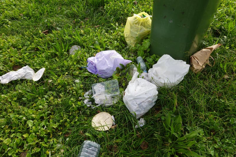 Garbage Polluting Green Grass Next To Garbage Bin Stock Photo - Image ...