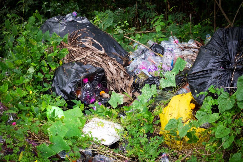 Plastic Waste in the Nature Stock Photo - Image of dirty, garbage ...