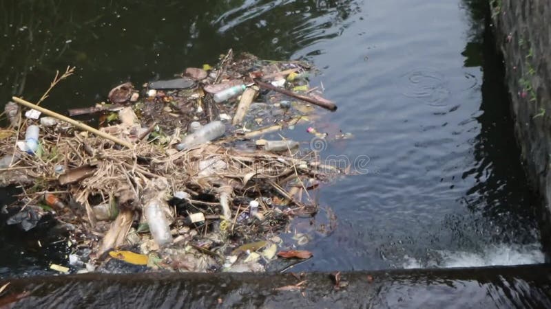 Plastic Waste Pollutes Rivers. Water Pollution Stock Video - Video of ...