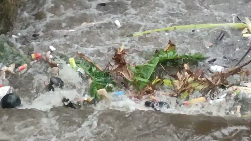 Plastic Waste Polluting River. Waste in River during Flood Stock ...