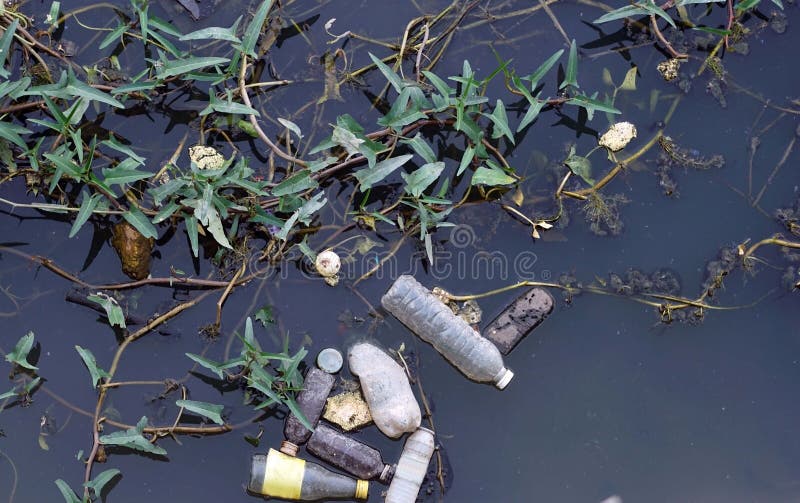 A Plastic Waste in the River, Pollution of the Environment Concept in ...