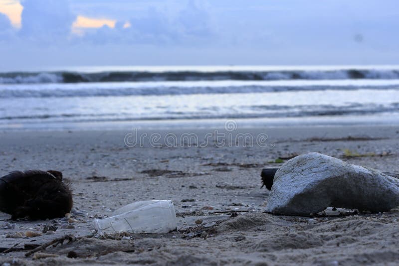 Plastic Waste, a Major Problem Stock Photo - Image of nature, problem ...