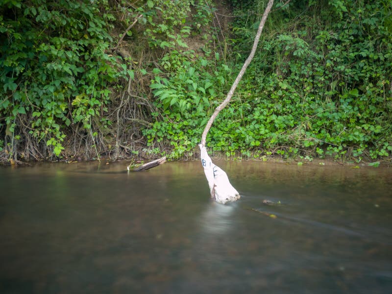 Plastic Waste Stuck on a Branch Above a Stream, Pollution in Nature ...