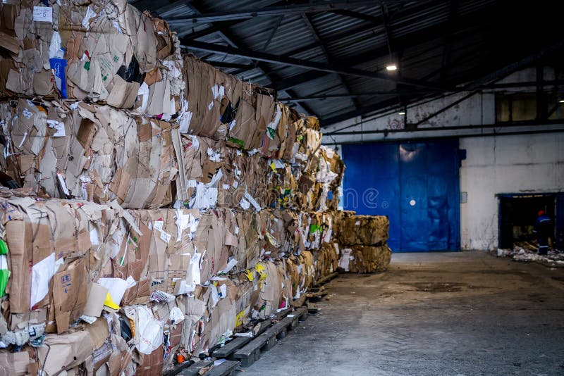 Plastic Waste is in the Warehouse at the Garbage Disposal Plant ...
