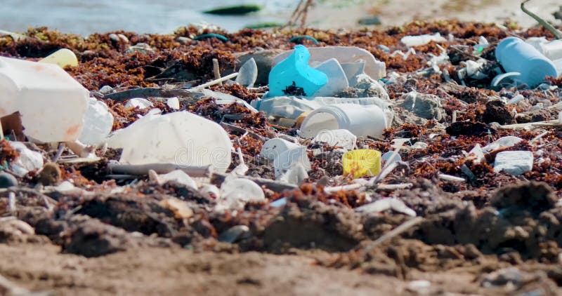 Slow Pan of Plastic Trash Littered on Beach Stock Footage - Video of ...