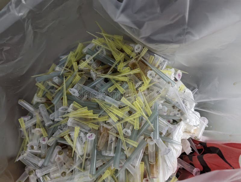 Plastic Waste from a Laboratory Stock Photo - Image of plastic ...