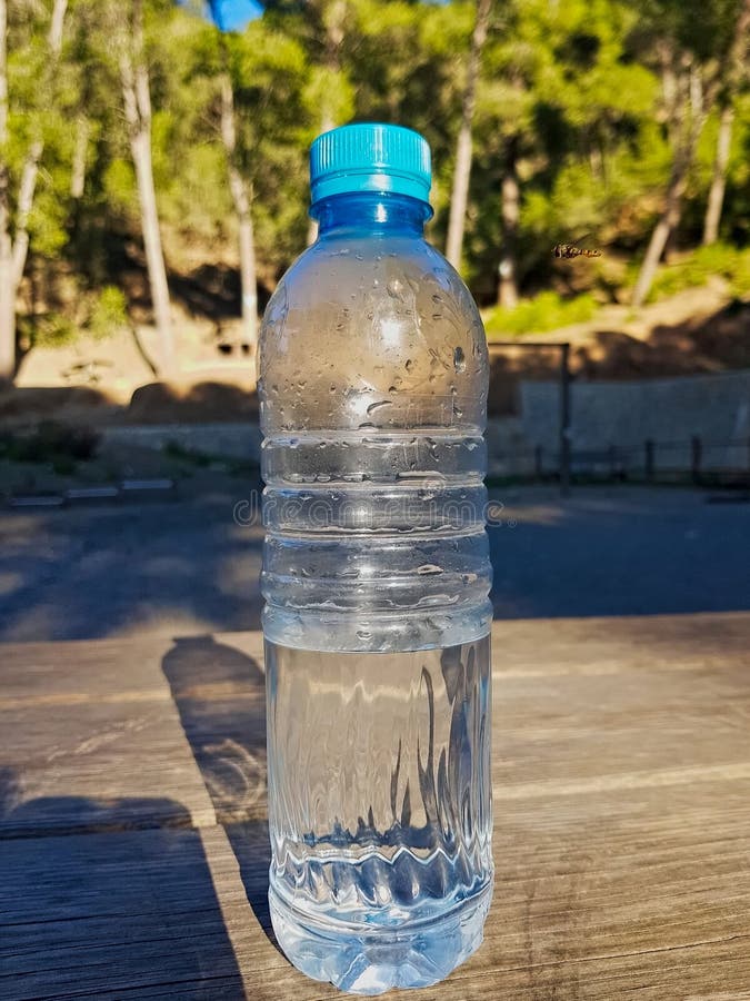 A Plastic Water Bottle, Half Full and Half Empty, Sits on a Wooden ...