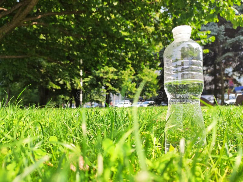 Plastic Water Bottle Stands on Green Grass Stock Image - Image of cool ...