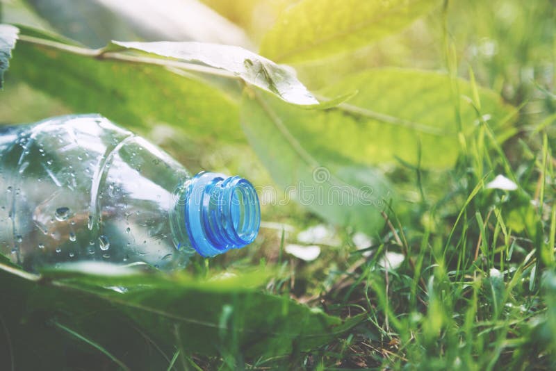 Plastic Water Bottle Waste, Forest Litter Stock Photo - Image of ...