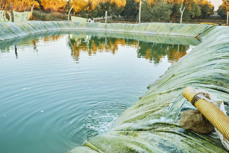 Plastic Water Retention Basin for Irrigation in Agriculture. Stock ...