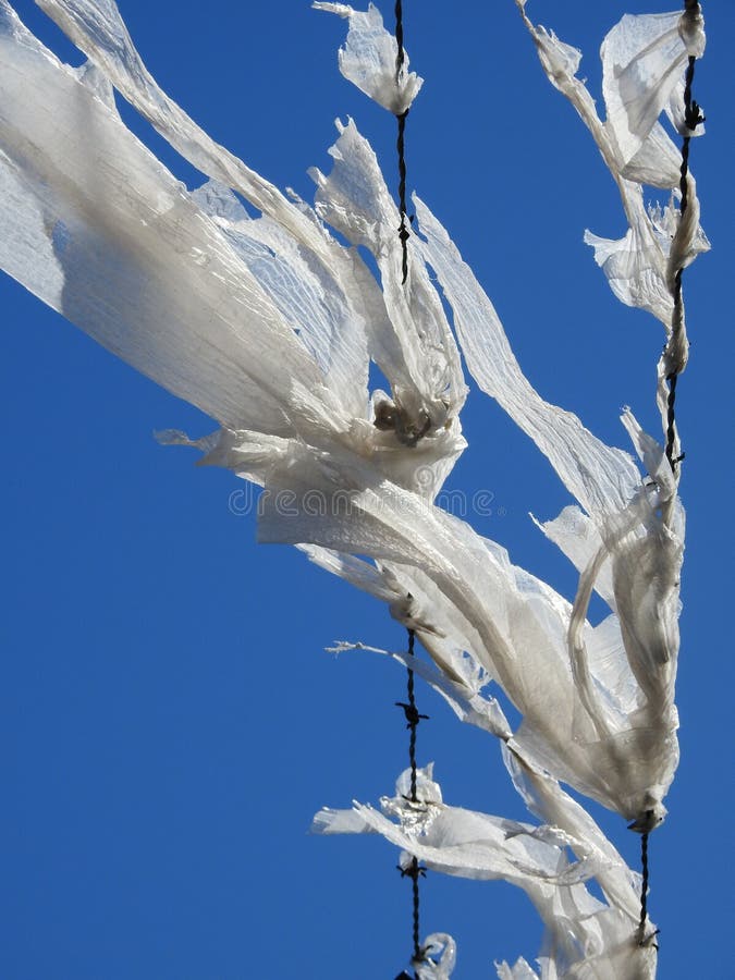 Plastic in the wind stock image. Image of pollution, trash - 91543753