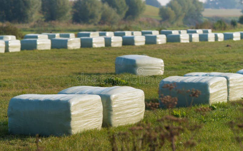 977 Square Hay Bales Photos - Free & Royalty-Free Stock Photos from ...